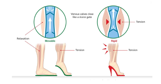 Baer Prinicipals – Baer India